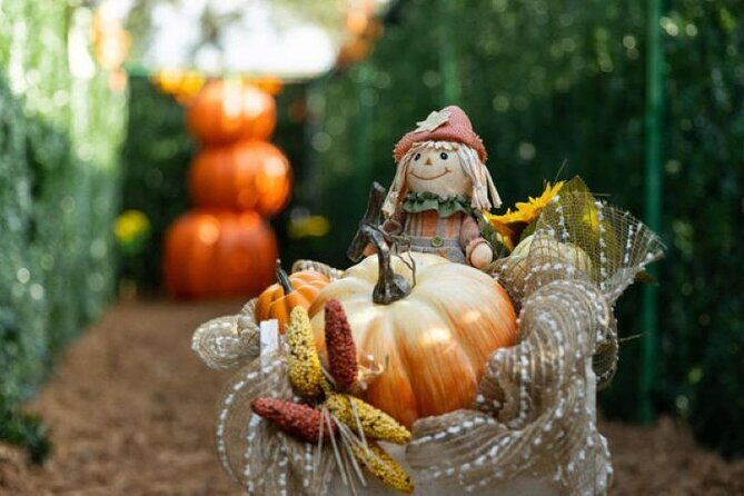 Central Florida Haunted Hayride - Authentic Experiences from Reviews