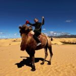 Central Mongolia Guided 3-Day Comfortable Tour - What the Tour Includes and Its Value