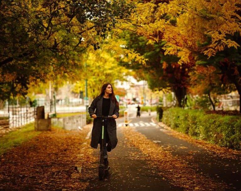 Central Park Escooter Rentals - The Itinerary: What You’ll See and Experience