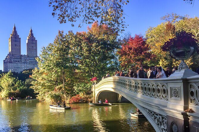 Central Park Intervention Shared Walking Tour - The Practical Side: What to Expect