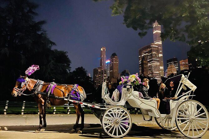 Central Park Moonlight Tour with Photo (45 min) ~ Skip the line - Who Will Love This Tour?