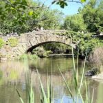 Central Park Pedicab Guided Tours with Theater - What Travelers Say
