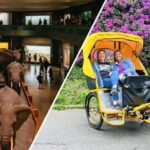 Central Park Pedicab Tour + Optional Natural History Access - Analyzing the Value: Is It Worth It?