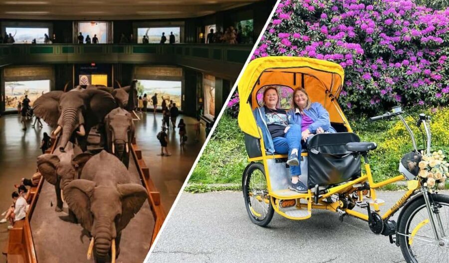 Central Park Pedicab Tour + Optional Natural History Access - Analyzing the Value: Is It Worth It?