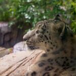 Central Park Zoo and 3hrs Manhattan Walking Tour - Analyzing the Value