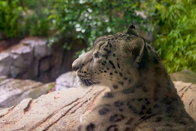 Central Park Zoo and 3hrs Manhattan Walking Tour - Analyzing the Value