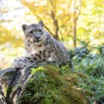 Central Park Zoo Entry Ticket - Final Thoughts
