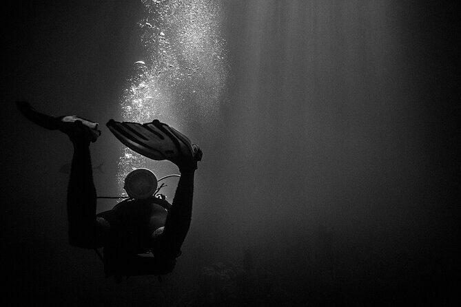 Certified Beach Night Dive - The Value of This Tour