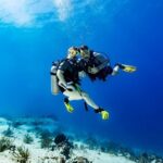Certified Diving 2 Tanks in Cozumel - Exploring the Cozumel Diving Experience