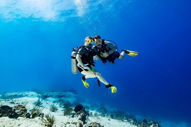 Certified Diving 2 Tanks in Cozumel - Exploring the Cozumel Diving Experience