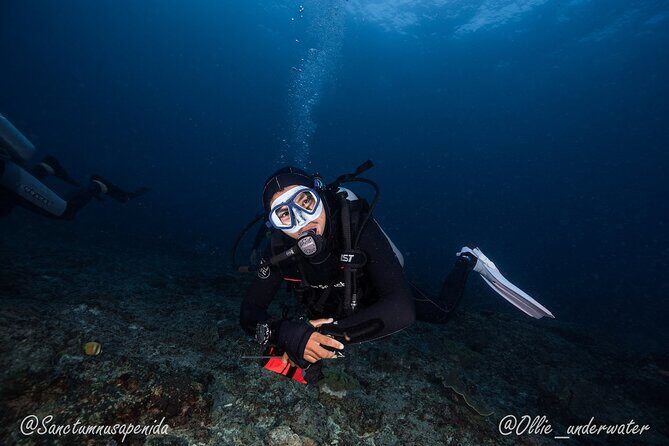 Certified Scuba Dive with Manta Rays (Open Water Diver minimum) - What You Can Expect from This Tour