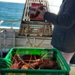 Cervantes: Lobster Catching Tour - Authentic, Affordable, and Engaging — Who’s This Tour For?
