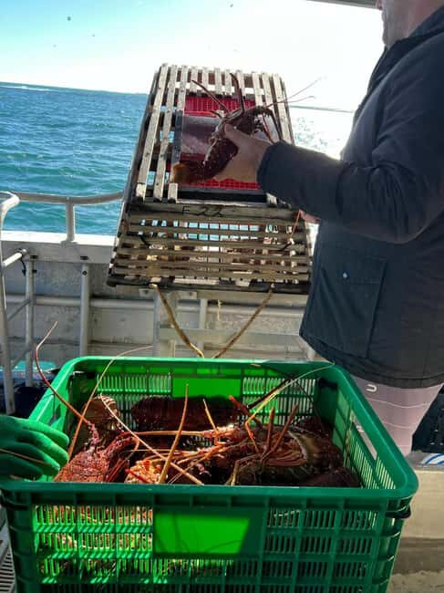Cervantes: Lobster Catching Tour - Authentic, Affordable, and Engaging — Who’s This Tour For?