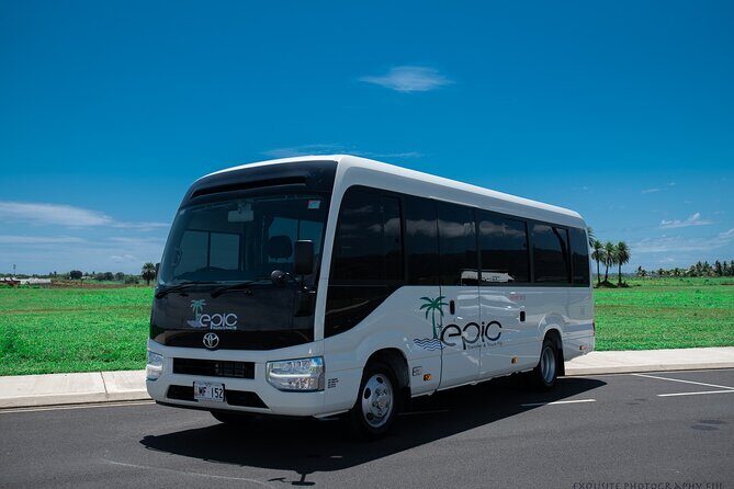 CFC APPROVED Private Arrival Transfer - Nadi Airport to Fiji Marriott, Momi Bay - Stops and Flexibility