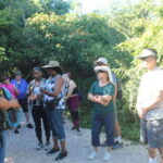 Chacchoben Mayan Ruins from Costa Maya - Practical Details and Tips for Travelers