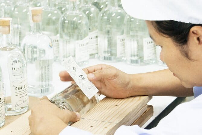Chalong Bay Rum Distillery Experience - Practical Details