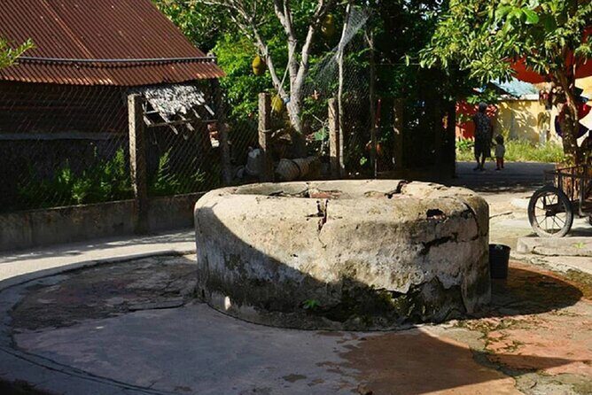 Cham Island Full Day Tour depart from Da Nang visit Au Thuyen and Ong Temple - Who Should Book This Tour?
