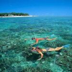 Cham Island Snorkeling,Beach Tour (Hoi An Viet Nam) - Who Should Consider This Tour?