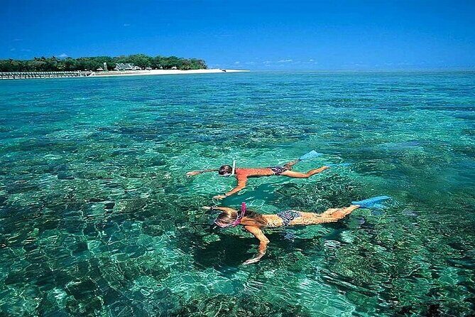 Cham Island Snorkeling,Beach Tour (Hoi An Viet Nam) - Who Should Consider This Tour?