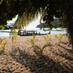 Cham Islands Snorkeling Tour by Speedboat : Hoi An/Da Nang - The Itinerary in Detail