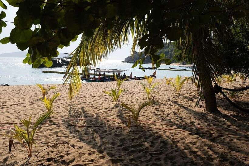 Cham Islands Snorkeling Tour by Speedboat : Hoi An/Da Nang - The Itinerary in Detail
