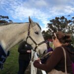 Champion Racehorse Tour with Beer and Wine Tasting - Price and Value Analysis