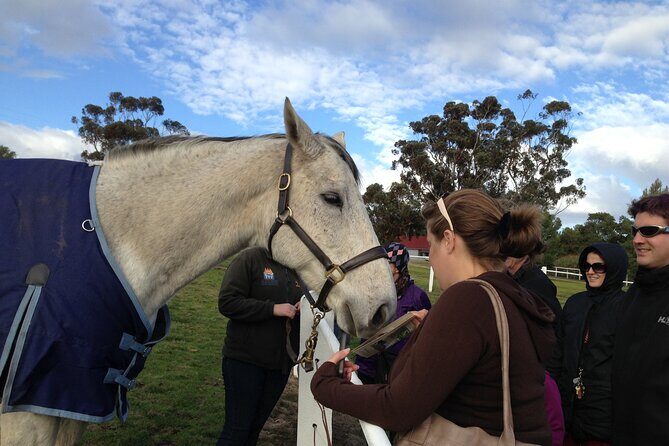 Champion Racehorse Tour with Beer and Wine Tasting - Price and Value Analysis