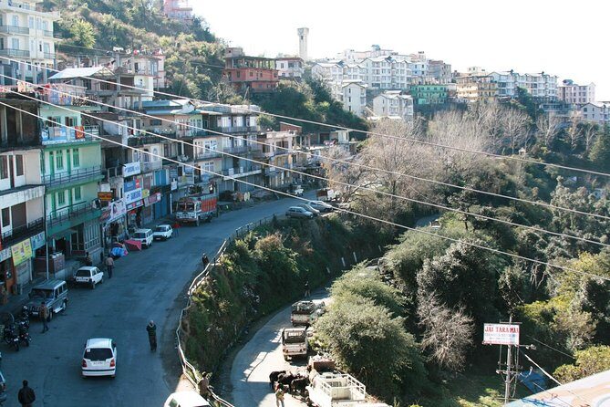 Chandigarh to Shimla Hill Station 4-Days Private Tour - What Travelers Say and What It Means for You