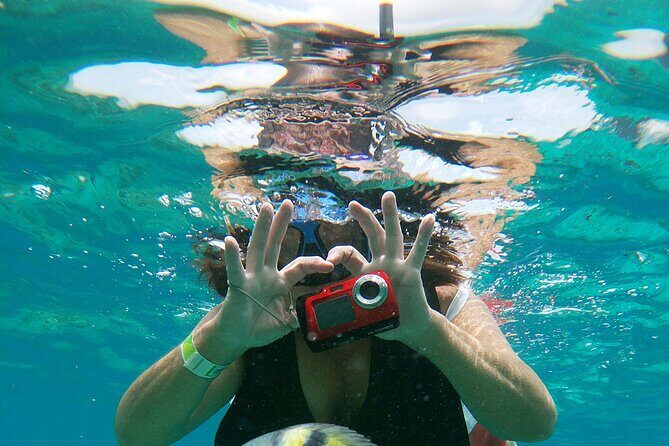 Chankanaab Park Admission + Welcome drink + Snorkeling - Authentic Experiences From Visitor Reviews