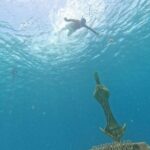 Chankanaab Park entrance ticket with snorkeling and buffet included - Exploring the Park’s Other Attractions