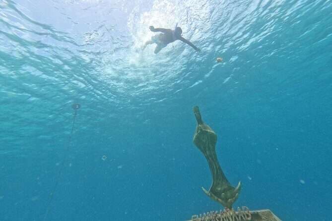 Chankanaab Park entrance ticket with snorkeling and buffet included - Exploring the Park’s Other Attractions