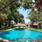 Chapala and Ajijic Tour from Guadalajara with 3 Potrillos - The Itinerary Breakdown: What You Can Expect