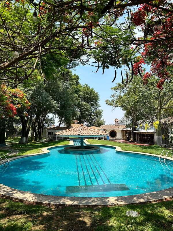 Chapala and Ajijic Tour from Guadalajara with 3 Potrillos - The Itinerary Breakdown: What You Can Expect