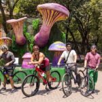 Chapultepec Castle or Anthropology Museum bike tour - What Makes This Tour Worth It?
