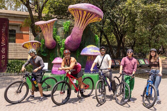 Chapultepec Castle or Anthropology Museum bike tour - What Makes This Tour Worth It?