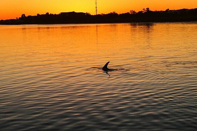 Charleston Dolphin Cruise Scenic Harbor Adventure - Wildlife & Scenic Viewing