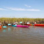 Charleston: Folly Beach Morning Kayak Dolphin Safari - The Value: Price and Practical Details
