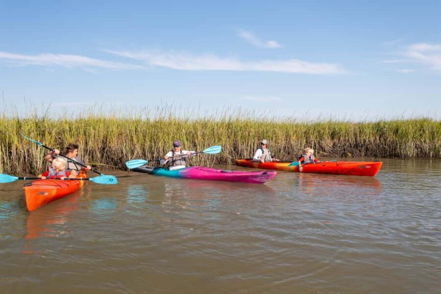 Charleston: Folly Beach Morning Kayak Dolphin Safari - The Value: Price and Practical Details