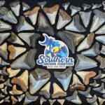 Charleston/Folly Beach Shark Tooth and fossil Island Drop off - The Practicalities: What’s Included and What’s Not