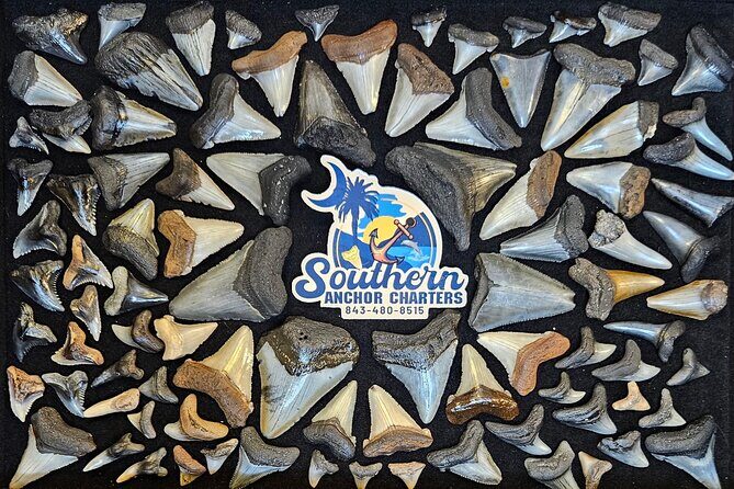 Charleston/Folly Beach Shark Tooth and fossil Island Drop off - The Practicalities: What’s Included and What’s Not