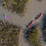 Charleston: Folly River Sunset Kayak Dolphin Safari - The Itinerary Breakdown