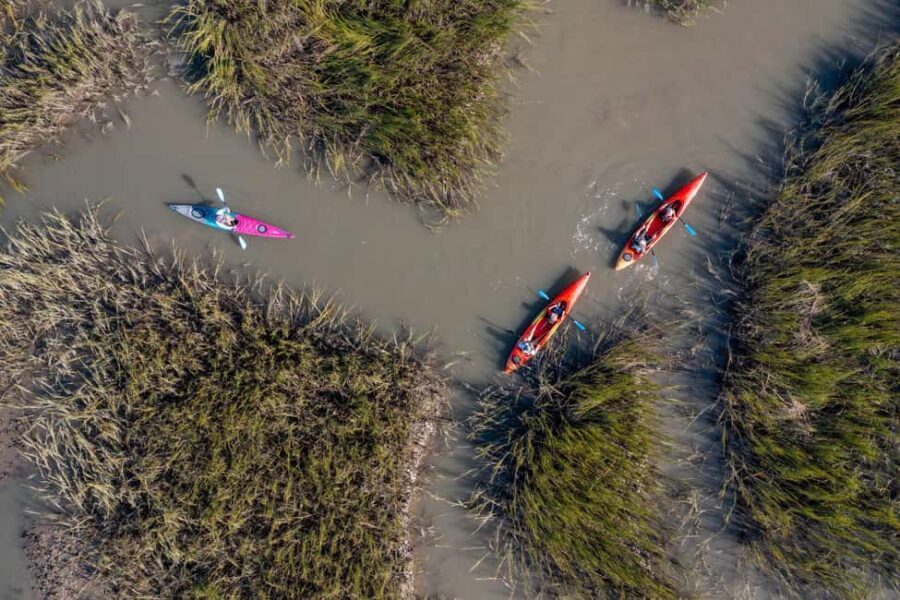 Charleston: Folly River Sunset Kayak Dolphin Safari - The Itinerary Breakdown