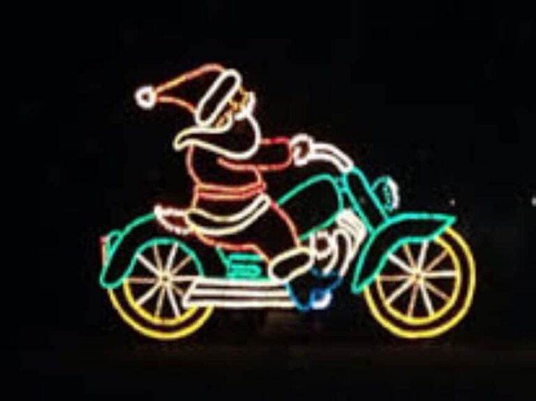 Charleston: Holiday Festival of Lights Tour with S'mores Kit - Why This Tour Works