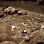 Charleston: Myths & Monsters Paranormal History Walking Tour - The Itinerary in Detail: What to Expect