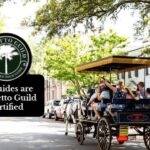 Charleston, SC: Private Daytime Horse-Drawn Carriage Ride - Who is this tour perfect for?