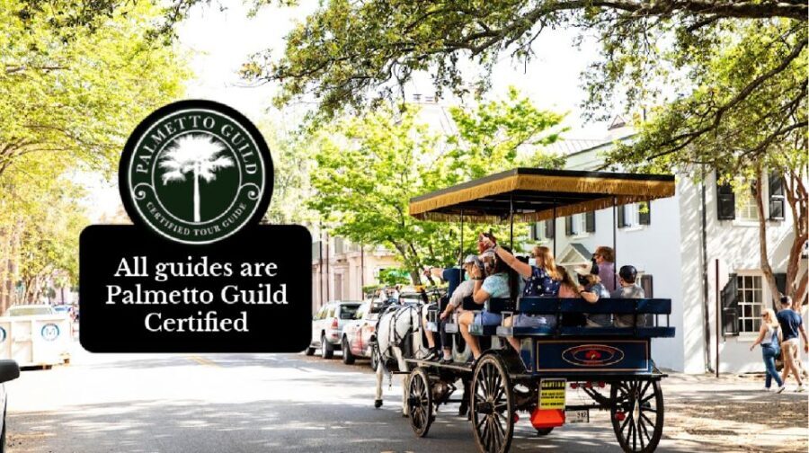 Charleston, SC: Private Daytime Horse-Drawn Carriage Ride - Who is this tour perfect for?