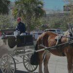 Charleston, SC: Private Evening Horse & Carriage Tour - Who Will Love This Tour?