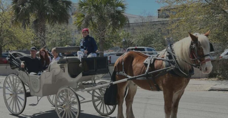 Charleston, SC: Private Evening Horse & Carriage Tour - Who Will Love This Tour?