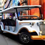 Charlotte: Historical Southern Elegance Tour by Vintage Cart - What to Expect on the Tour