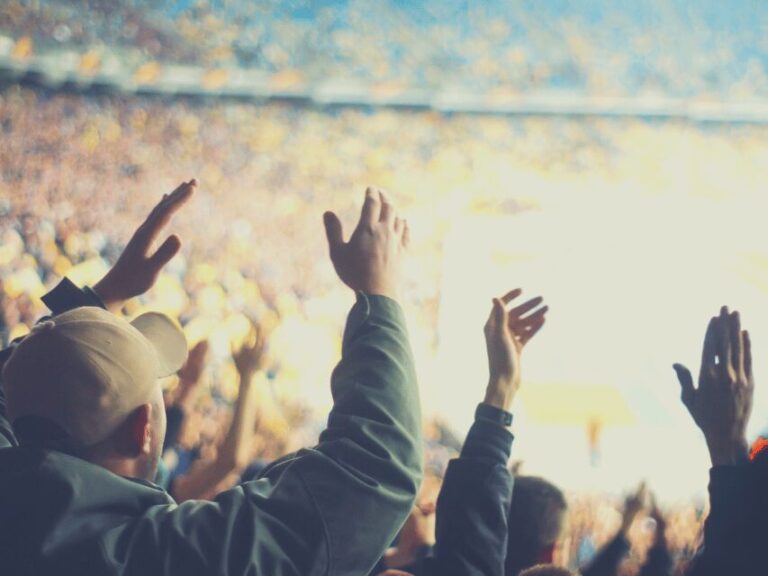 Charlotte: Panthers Football Game at Bank of America Stadium - The Experience: From Entry to the Final Whistle